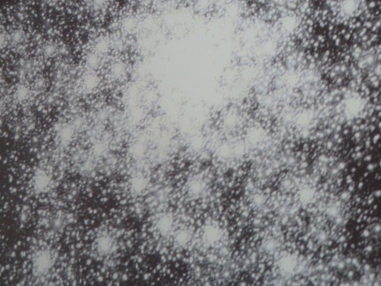 MozEx: celebrating open internet, technology and creativity through ...