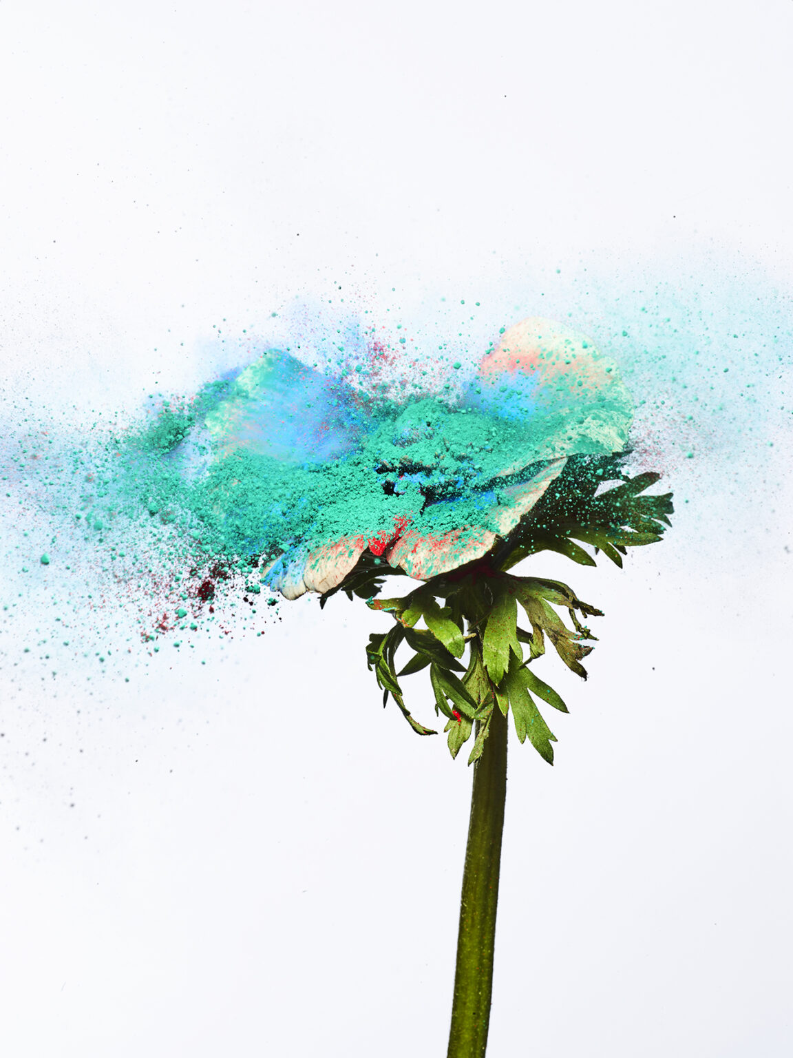 Rankin – Zeitsprünge (Leaps in time) opens at the Ernst Leitz Museum ...