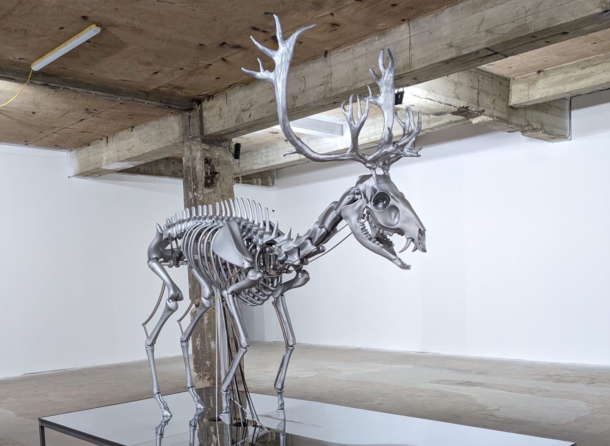 Mat Collishaw ‘Urban Legends’ - FAD Magazine