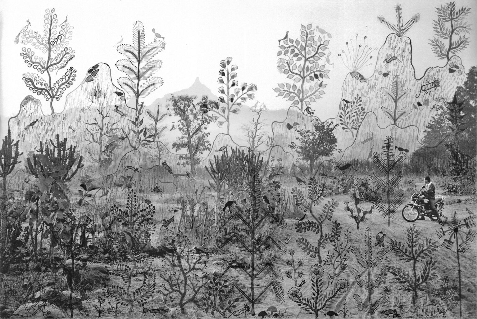 Gauri Gill and Rajesh Vangad, ‘Mountains and Trees’, 2014, from the ...