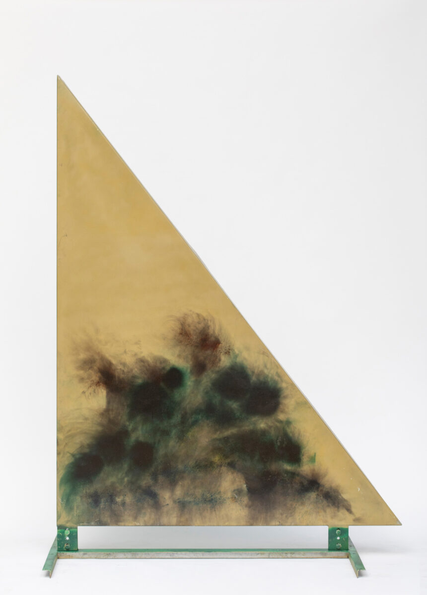 Jean Boghossian's "Flames" explores themes of environmental ...