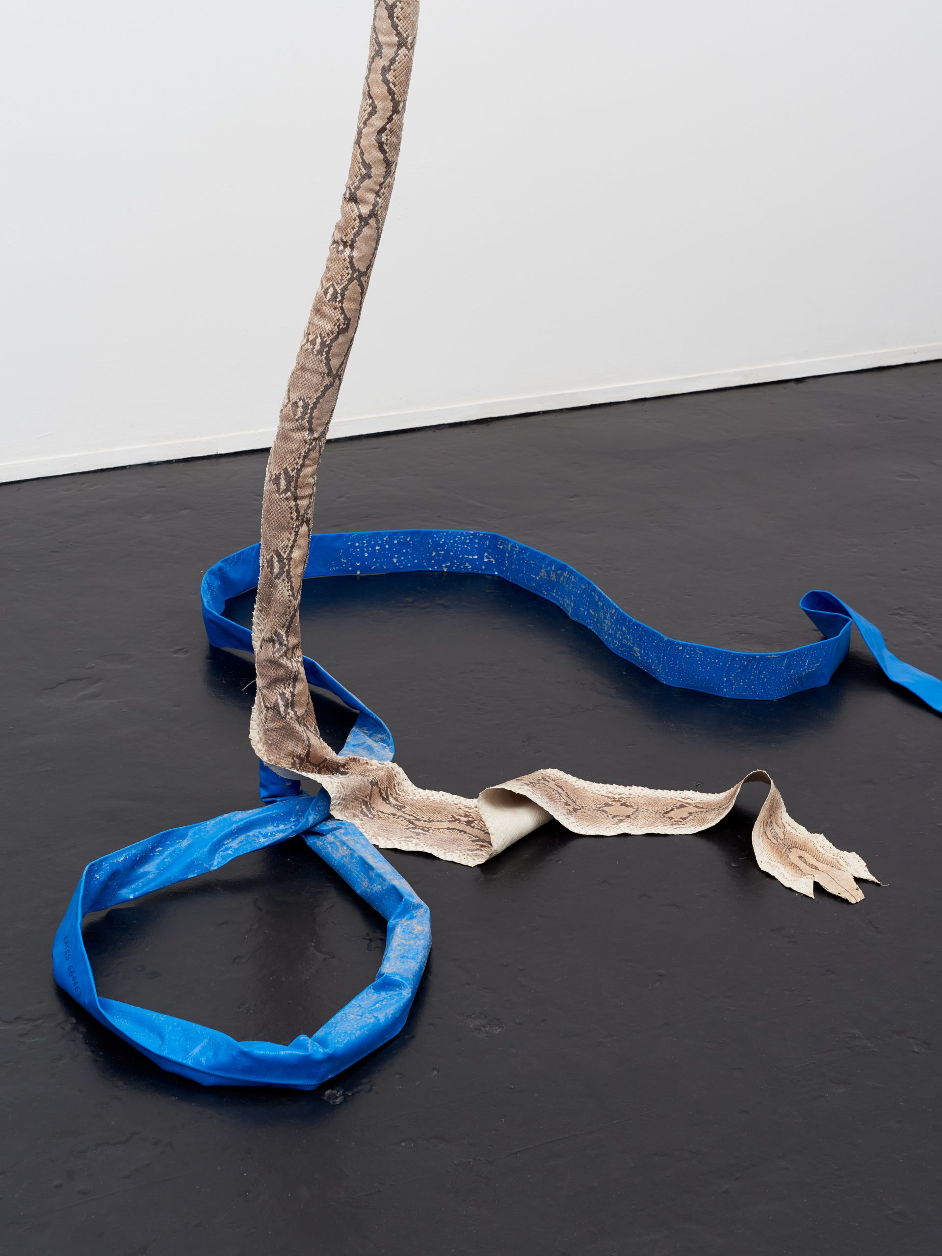 Tyler Eash: Loreum - FAD Magazine