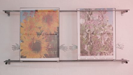 Elliot Fox Interview - "The transcendent headspace you find in making ...