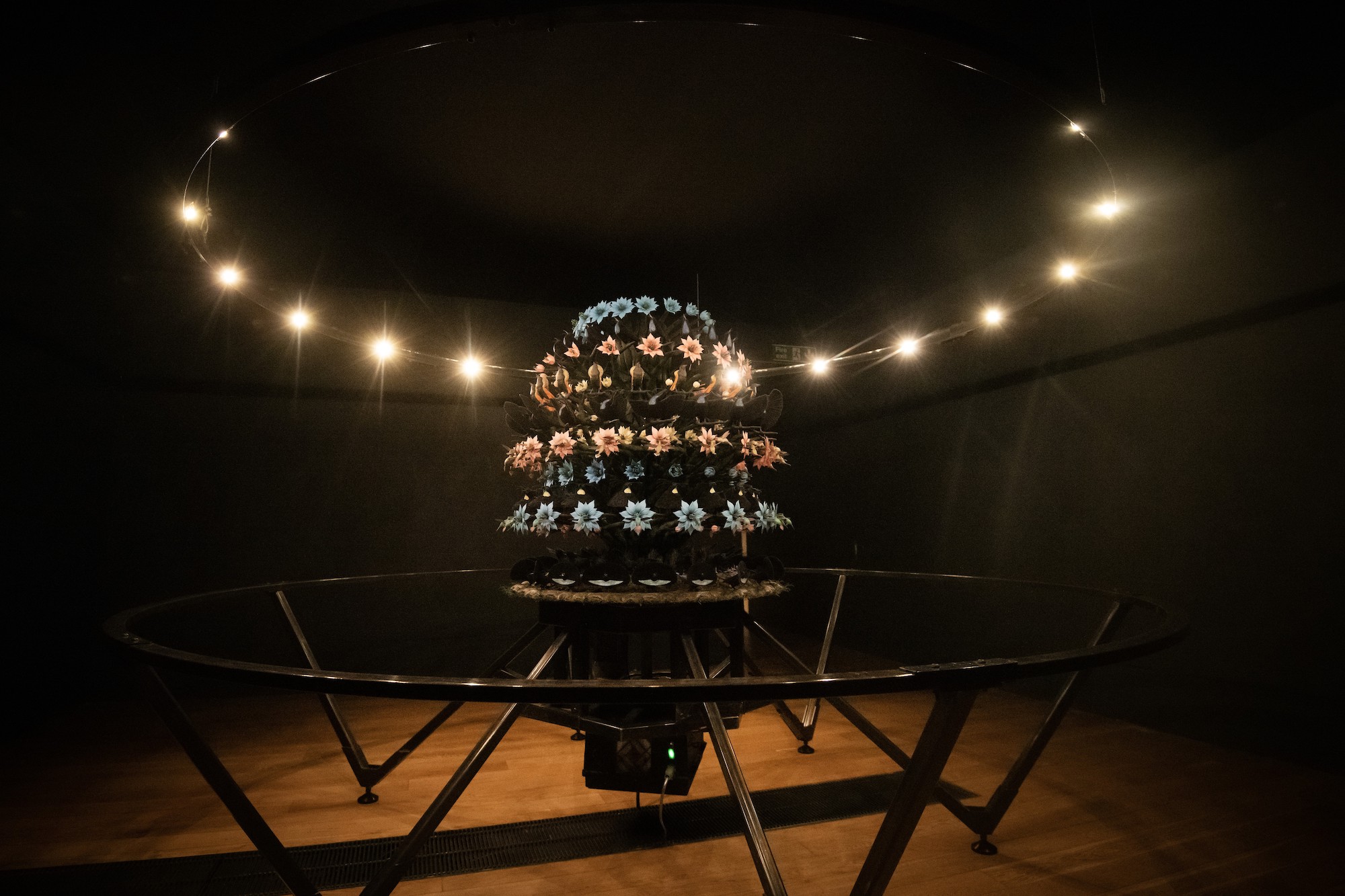 Mat Collishaw's Petrichor explores the intersection of art, nature ...