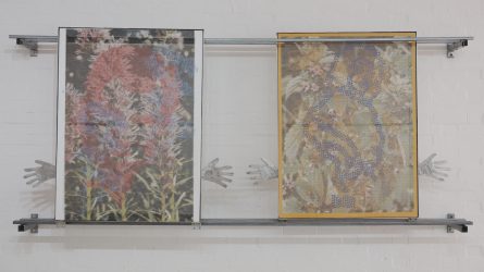 Elliot Fox Interview - "The transcendent headspace you find in making ...