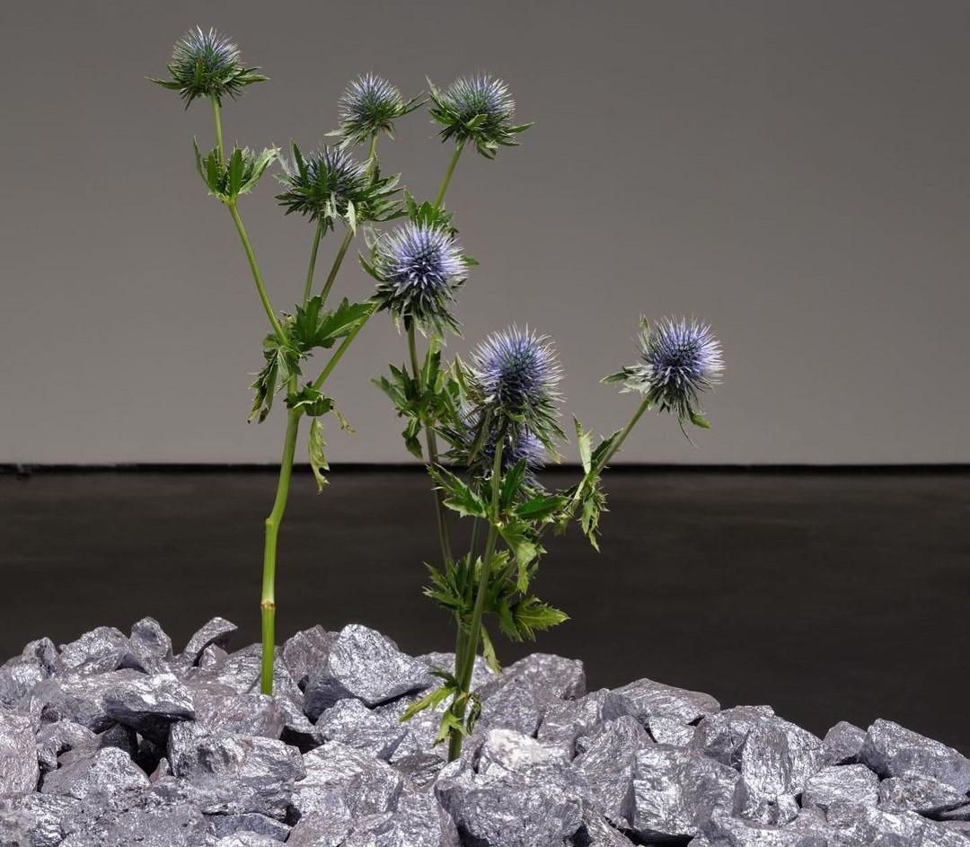 A STROLL AROUND BERLIN: GALLERY WEEKEND 2024 - FAD Magazine