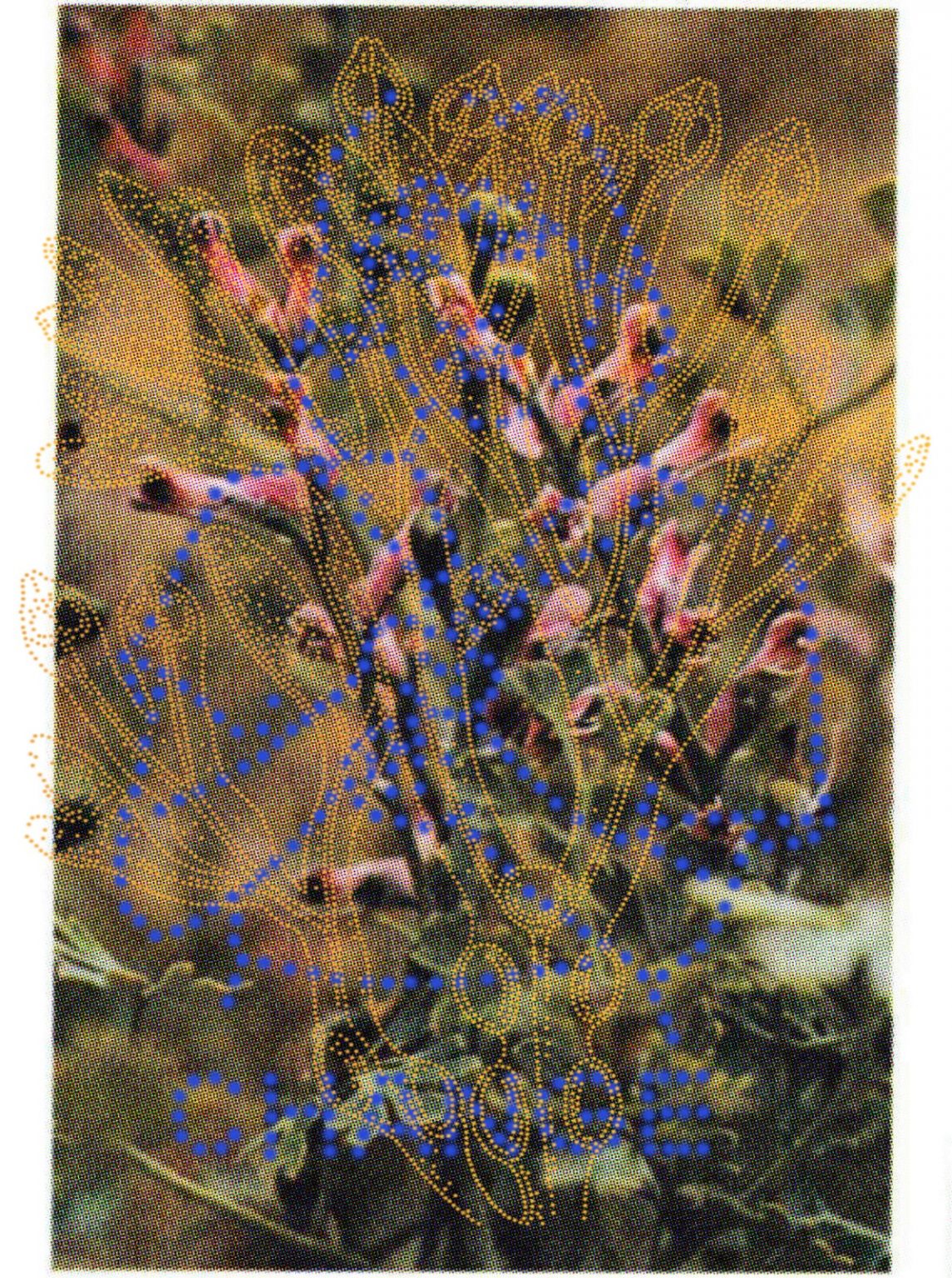 Elliot Fox - Idol Hands - FAD Magazine