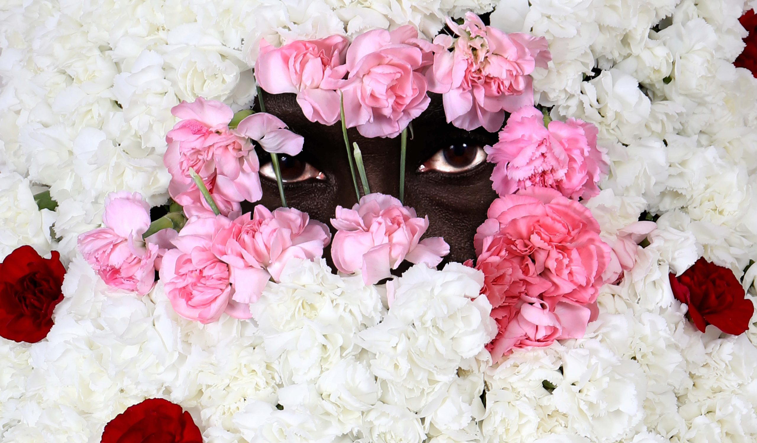 CoLab: A collective of galleries sharing works on paper - FAD Magazine