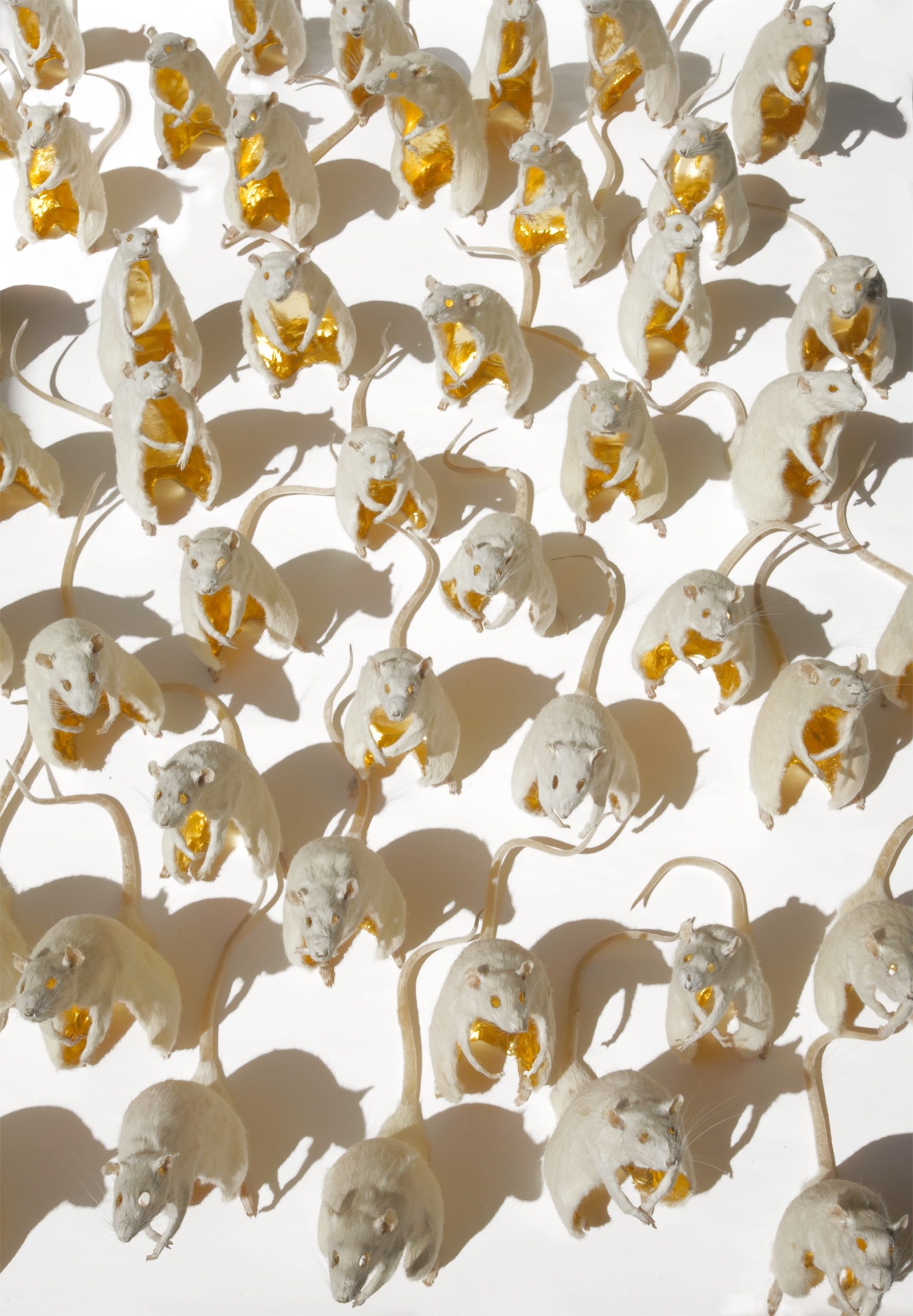 Zatorski + Zatorski, I 101 white rat pelts, 24 ct gold, 30 x 244 x 244 ...