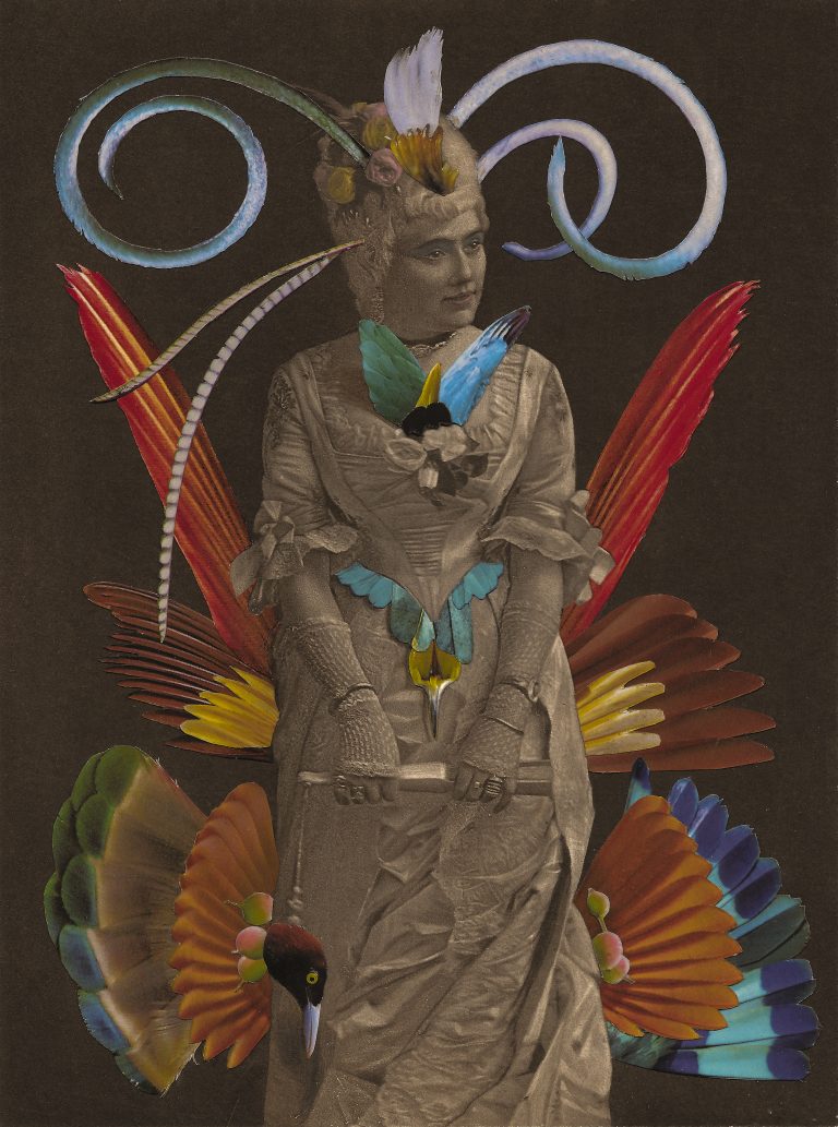 Ruth Marten: The Birds - FAD Magazine