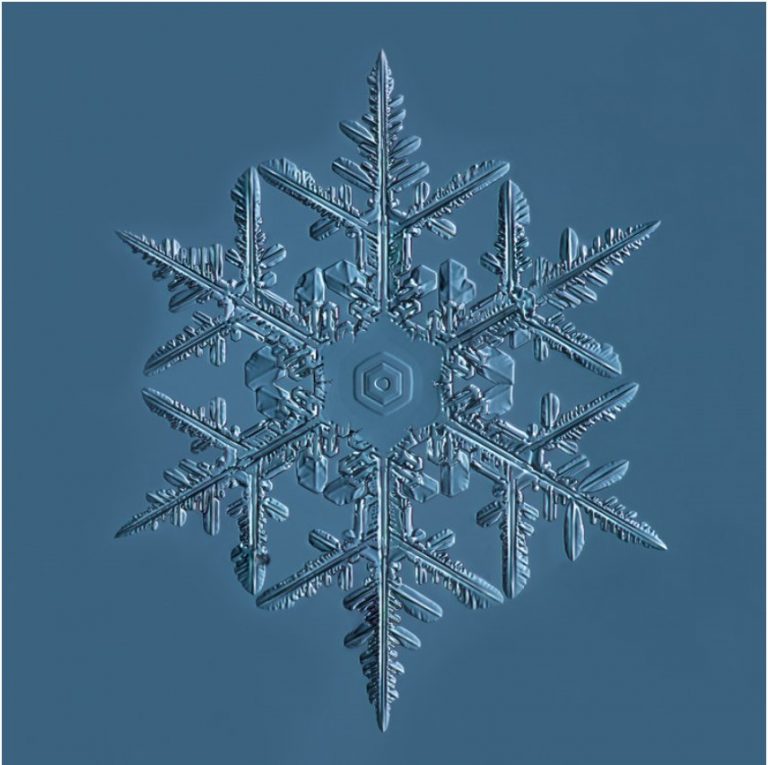 seisma snowflake - FAD Magazine