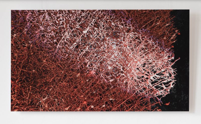 Michael Garner Explores Truth, Systems & Constructed Reality - FAD Magazine