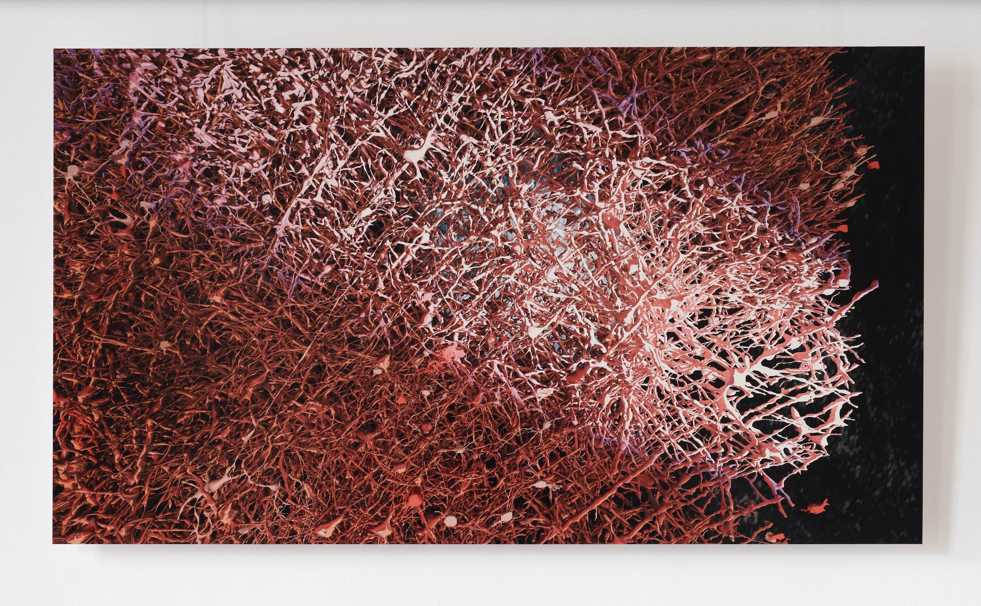 Michael Garner Explores Truth, Systems & Constructed Reality - FAD Magazine